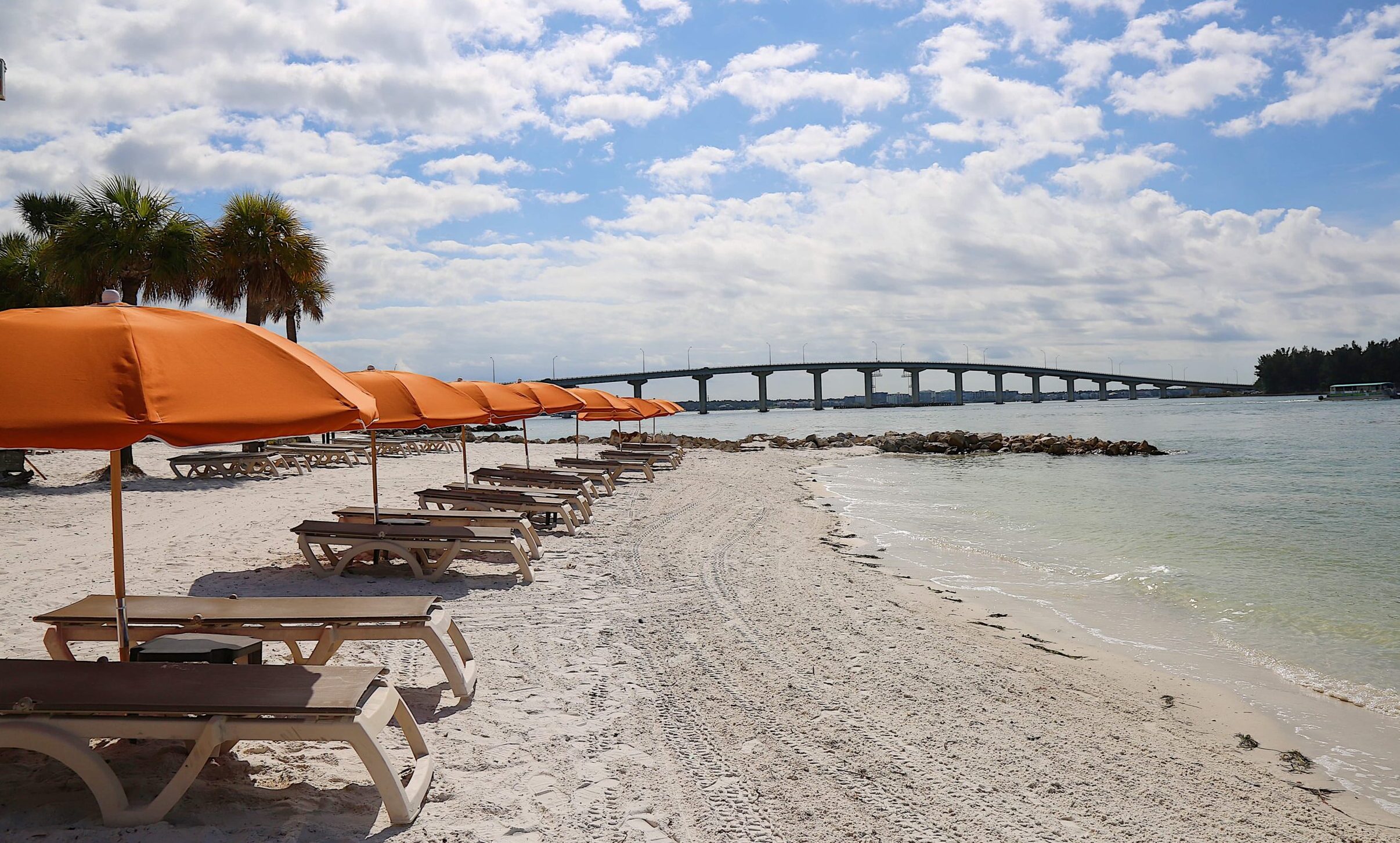 Gallery | Dolphin Sands Clearwater Beach